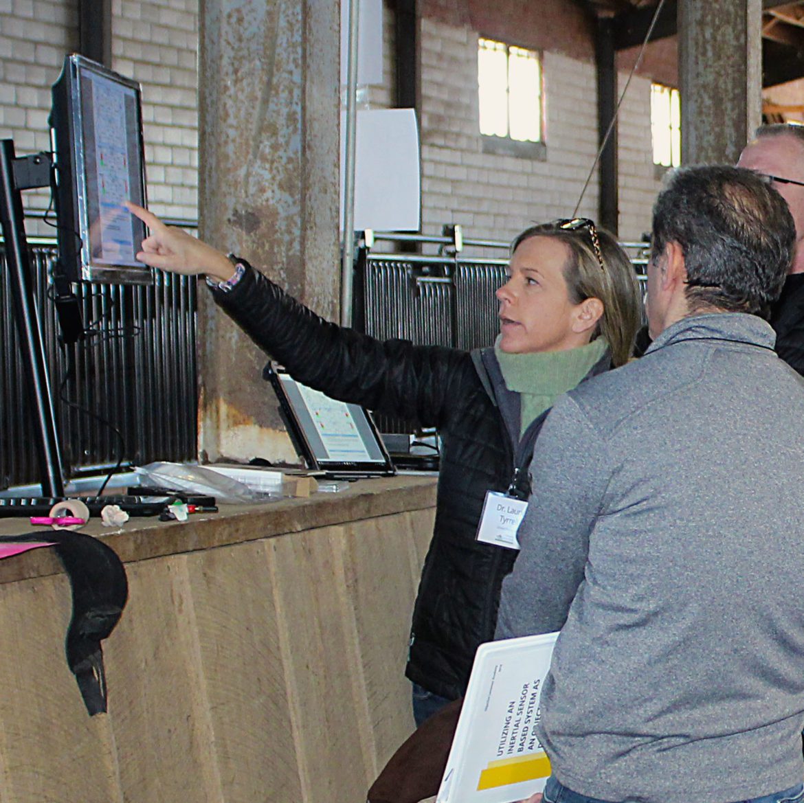 Lameness Locator 20/20 | Equinosis