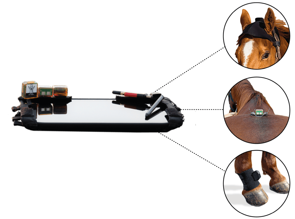 Equinosis Q System Details | Equine Lameness | Equinosis