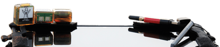 Equinosis Q | Lameness Locator® | Equine Inertial Sensor System