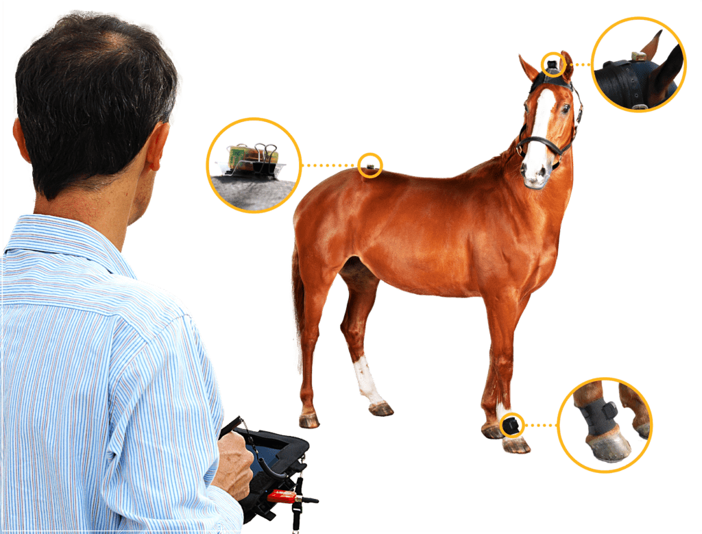 [Webinar] Leveraging the Latest Software: Lameness Locator 20/20